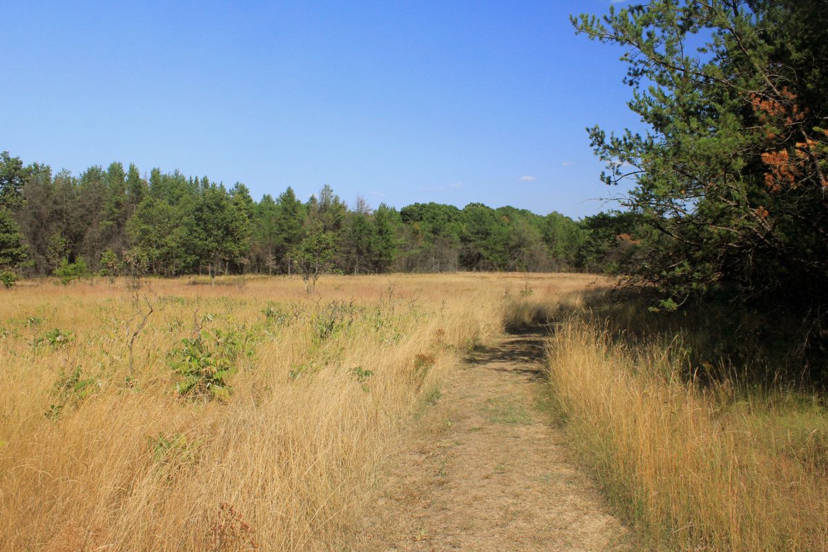 Complete Guide to Mill Bluff State Park - Crazy Camping Girl