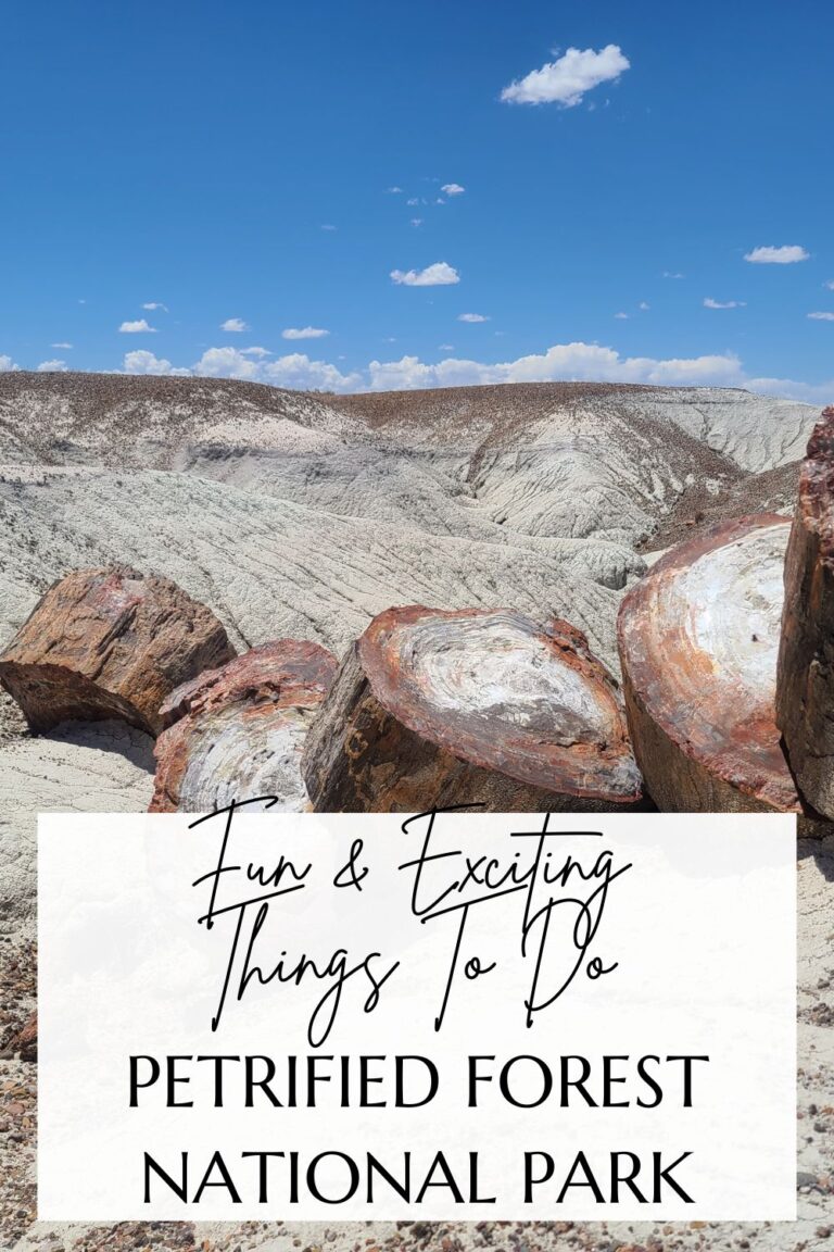 Fun and Exciting Things to Do Petrified Forest National Park - Crazy ...