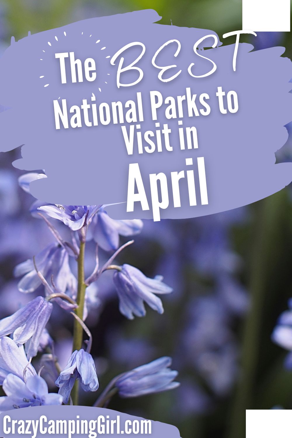 The Best National Parks to Visit in April This Year - Crazy Camping Girl