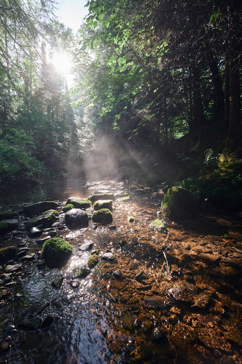 Northern Wisconsin Hiking Trails: Your Guide to the Best Scenic Routes ...